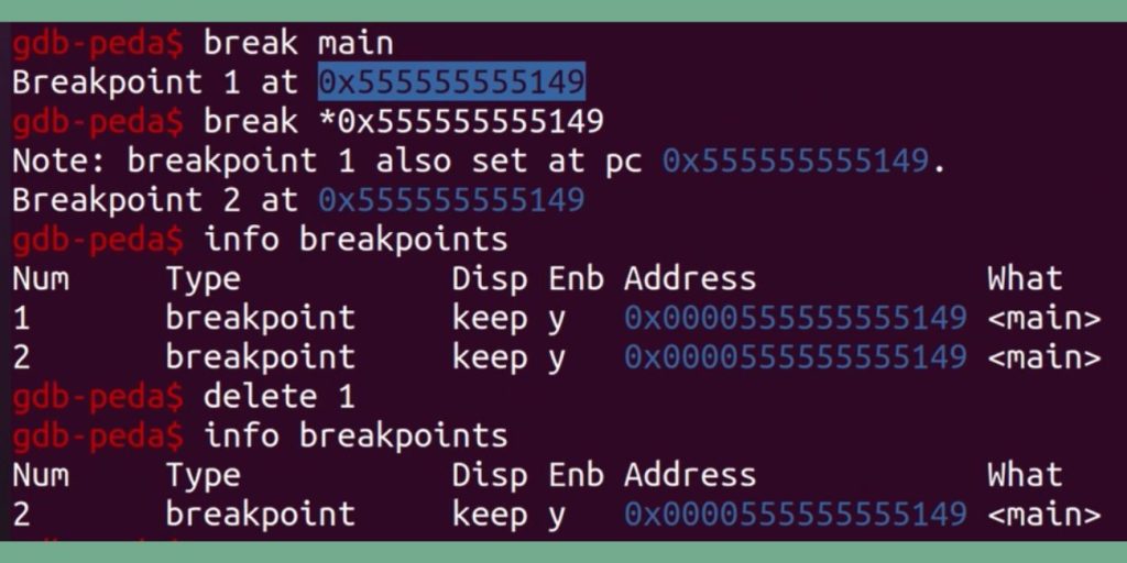 How to Delete a Breakpoint in GDB: A Step-by-Step Guide - NavThemes